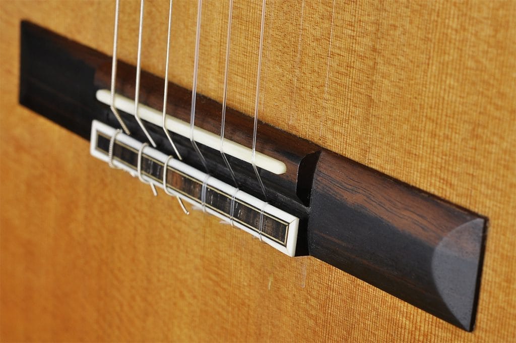 Guitar top: spruce or cedar? Sound and properties.