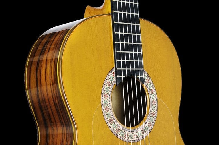 Guitar top: spruce or cedar? Sound and properties.